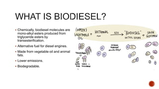 Bio-diesel: Industrial production | PPTX | Science