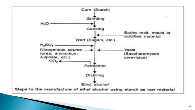 INDUSTRIAL PRODUCTION OF ETHANOL.....pptx | Alcoholic Beverages | Food ...