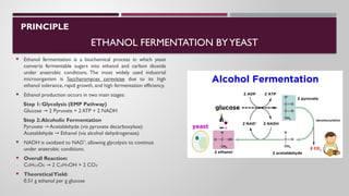 INDUSTRIAL PRODUCTION OF ETHANOL (DSE).pptx