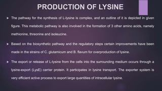 Industrial production of important amino acids | PPTX
