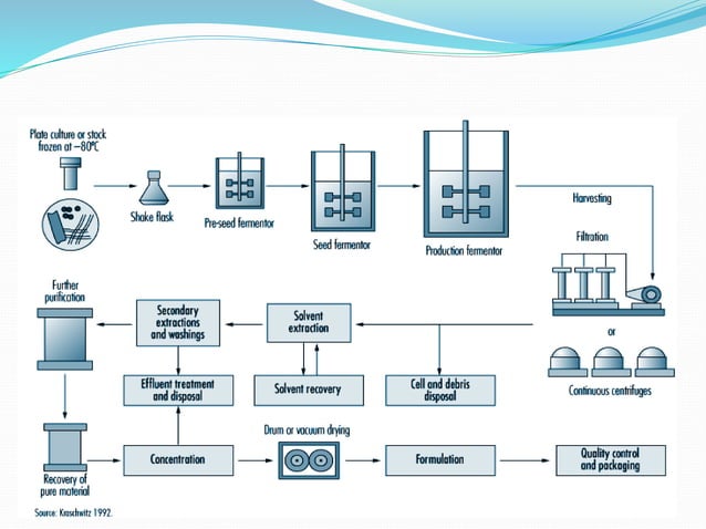 Industrial production of insulin. | PPTX