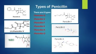 Industrial production of pencillin | PPT