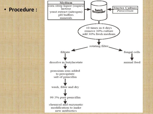 Industrial production of penicillin