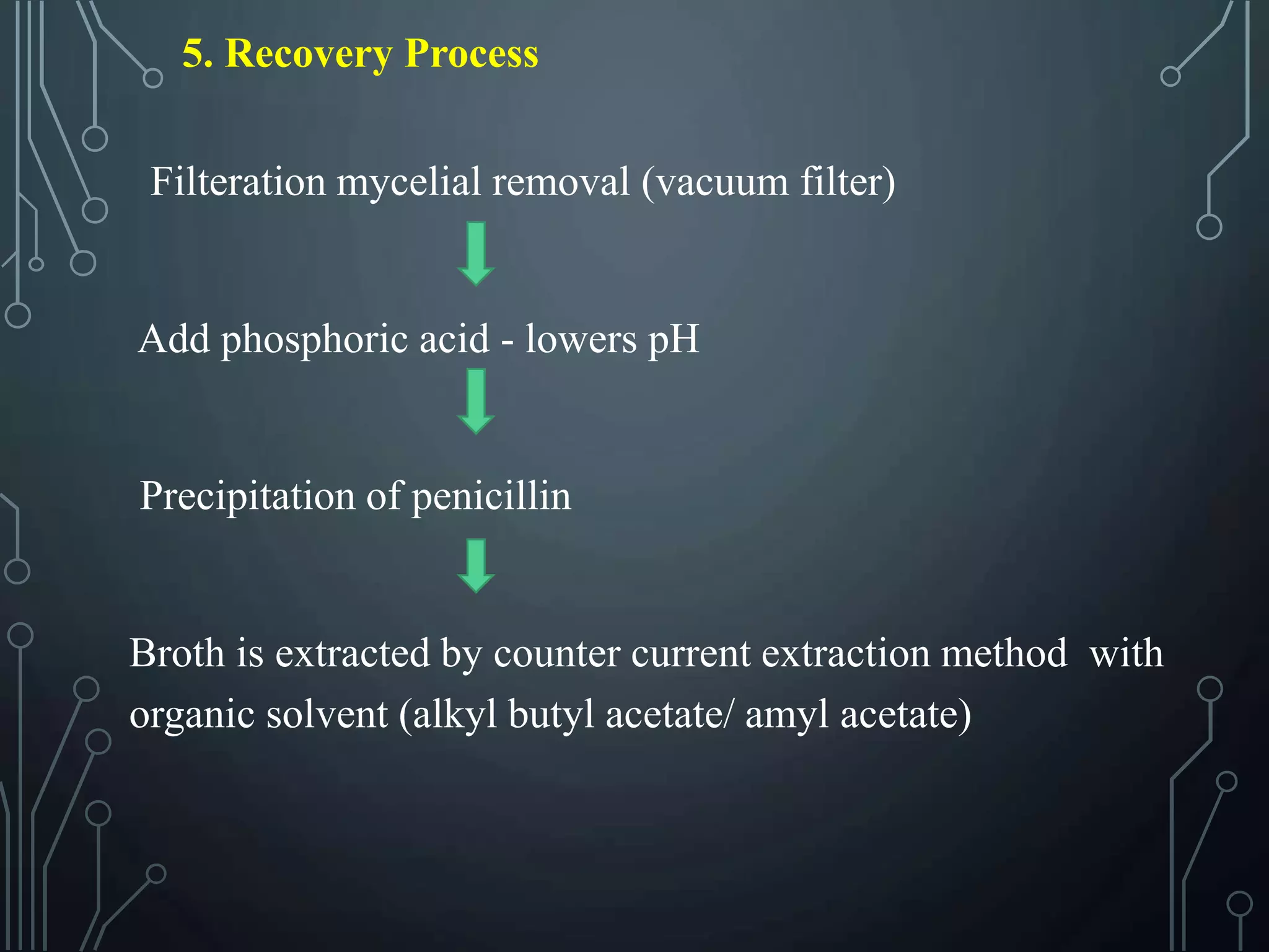 Industrial production of penicillin.ppt