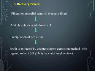 Industrial production of penicillin.ppt