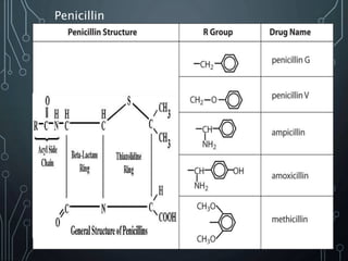 Industrial production of penicillin.ppt