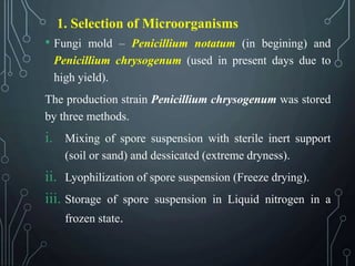 Industrial production of penicillin.ppt