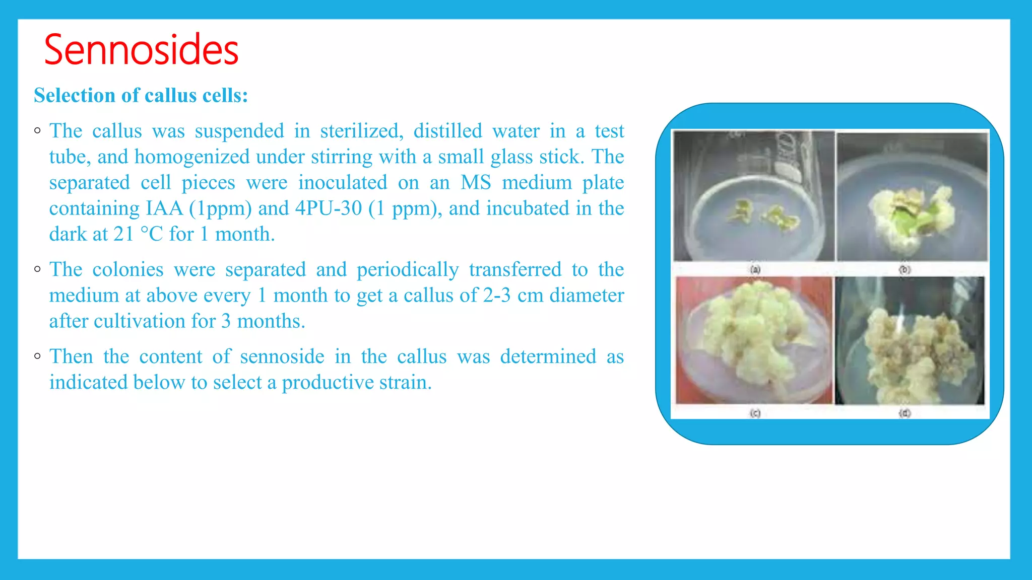Industrial production sennosides | PPTX