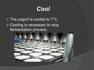 Industrial Preparation of Yogurt | PPTX