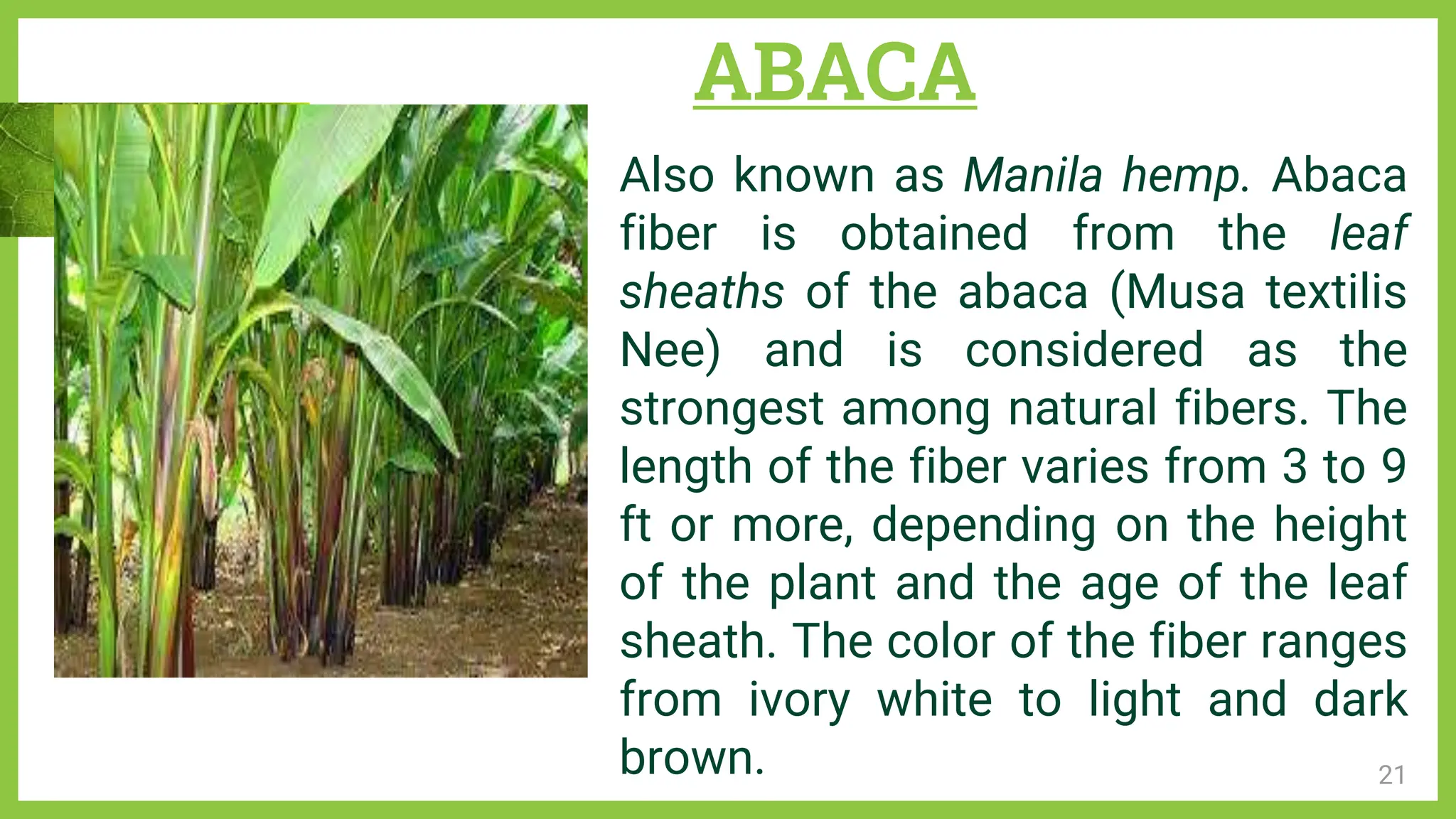 INDUSTRIAL RAW MATERIALS OF PHILIPPINES | PPTX