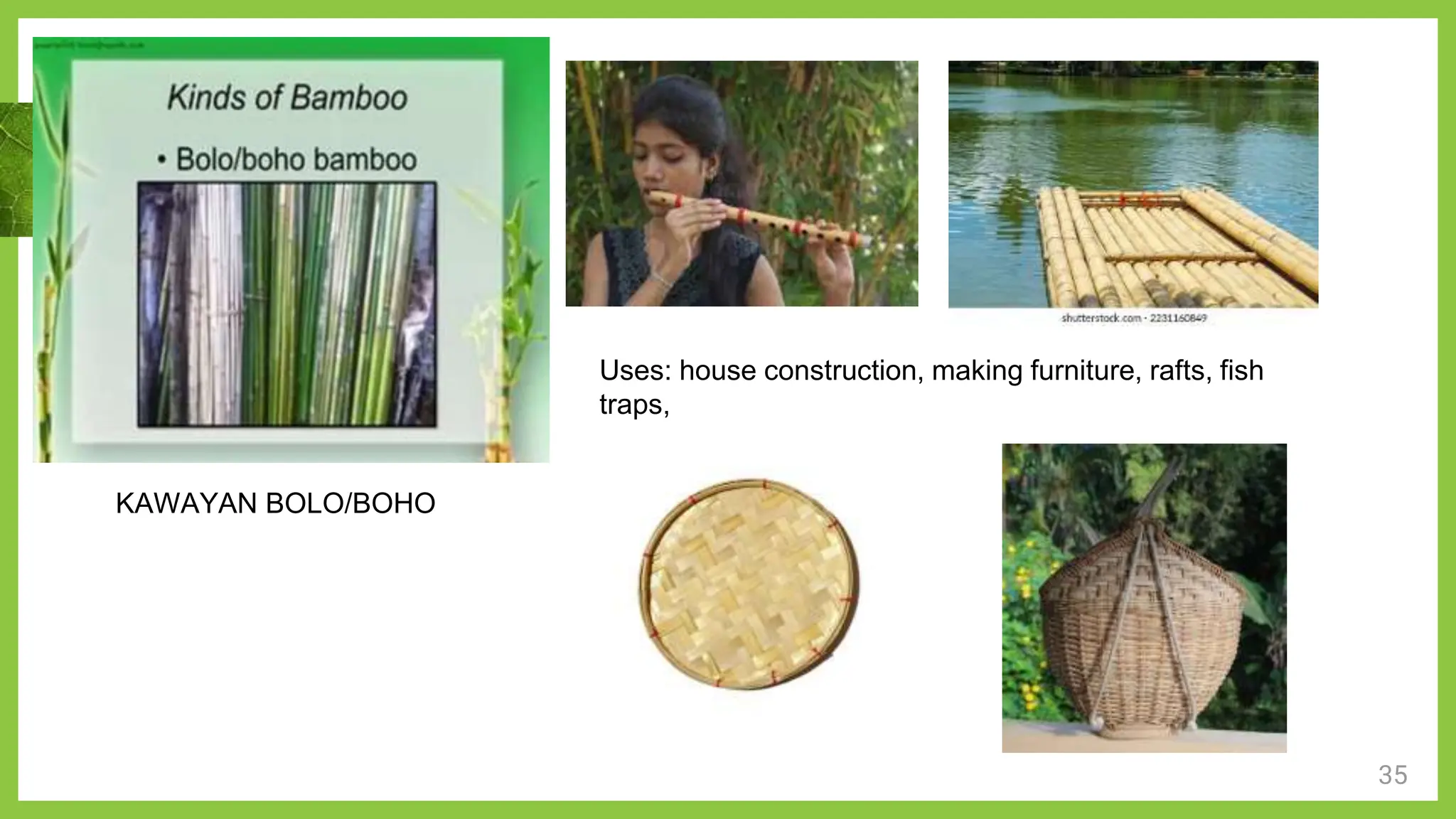 INDUSTRIAL RAW MATERIALS OF PHILIPPINES | PPTX