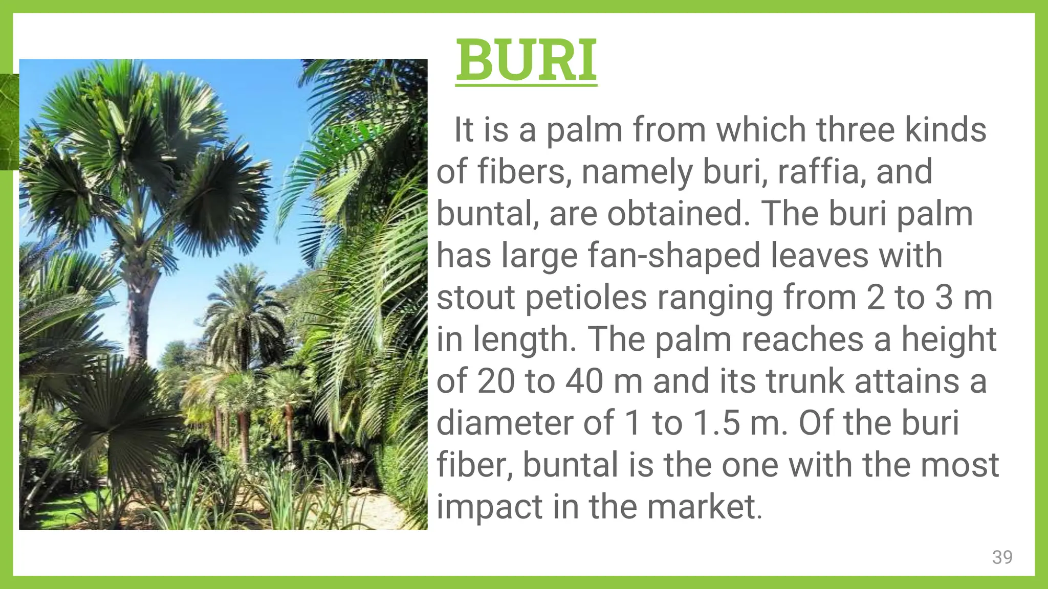 INDUSTRIAL RAW MATERIALS OF PHILIPPINES | PPTX