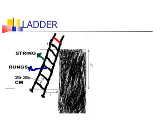 Industrial safetY of height works | PPT