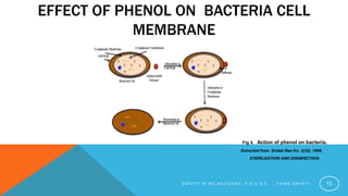 Industrial training | PPT