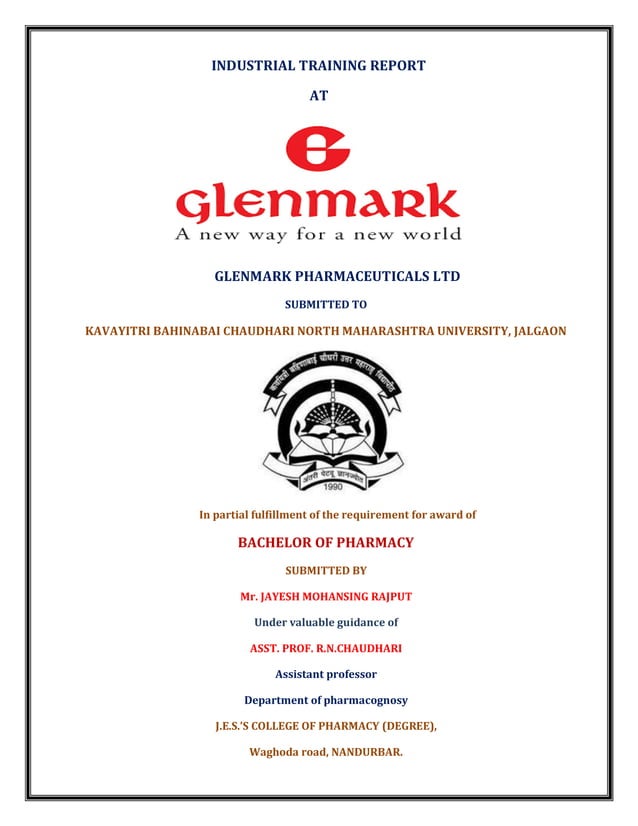 Industrial training report by jayesh | PDF | Skin and Dermatology | Diseases and Conditions