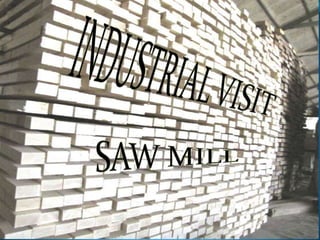 Industrial visit | PPTX