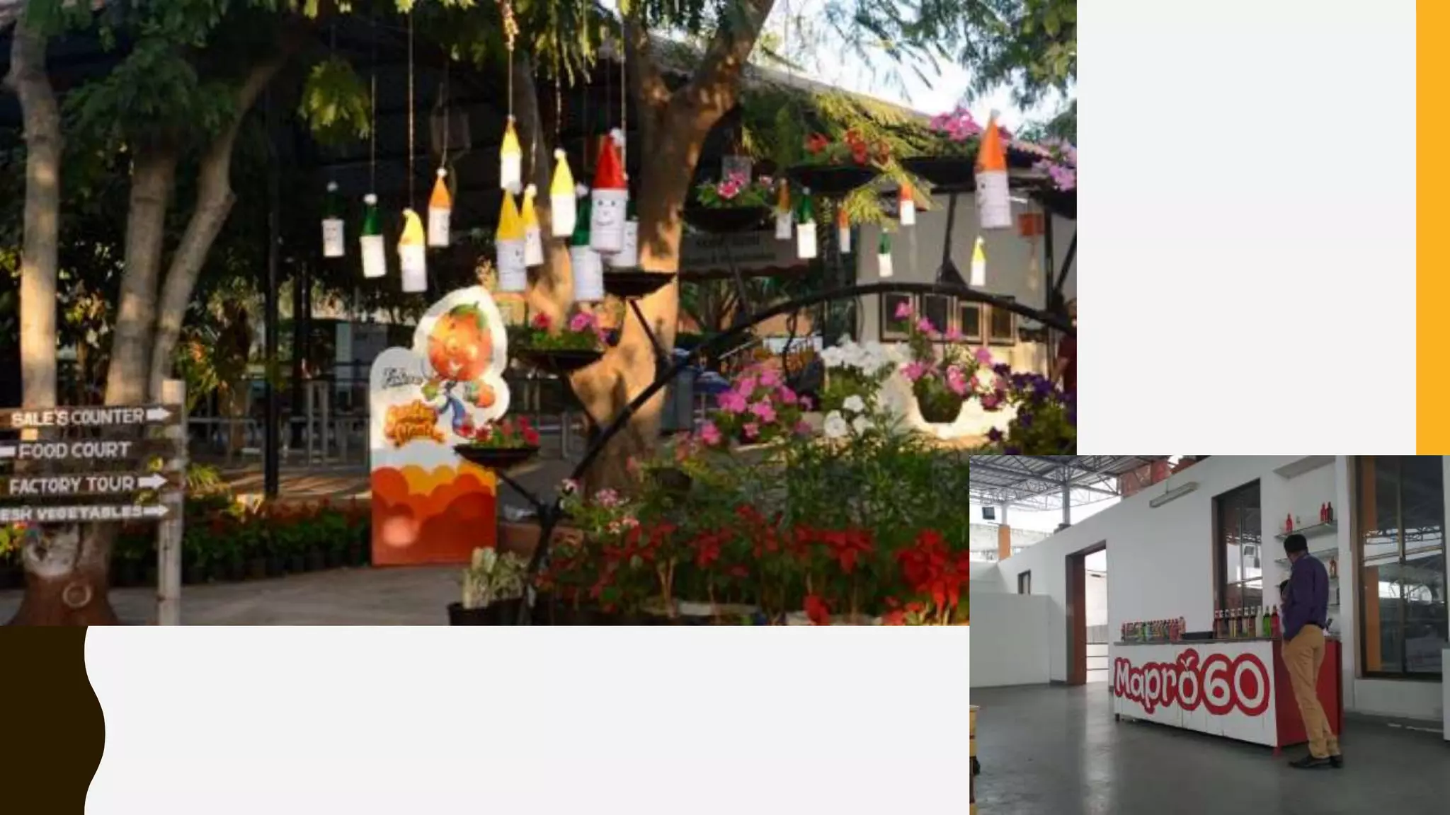 Industrial visit presentation final mapro | PPTX