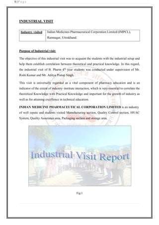 Industrial Visit Report B. pharm SR (1).pdf