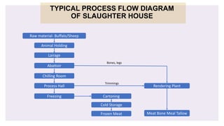 Industrial wastewater treatment - Slaughterhouse | PPTX