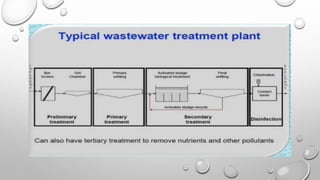 Industrial Wastewater Effluents | PDF