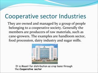 Cooperative Sector Industries