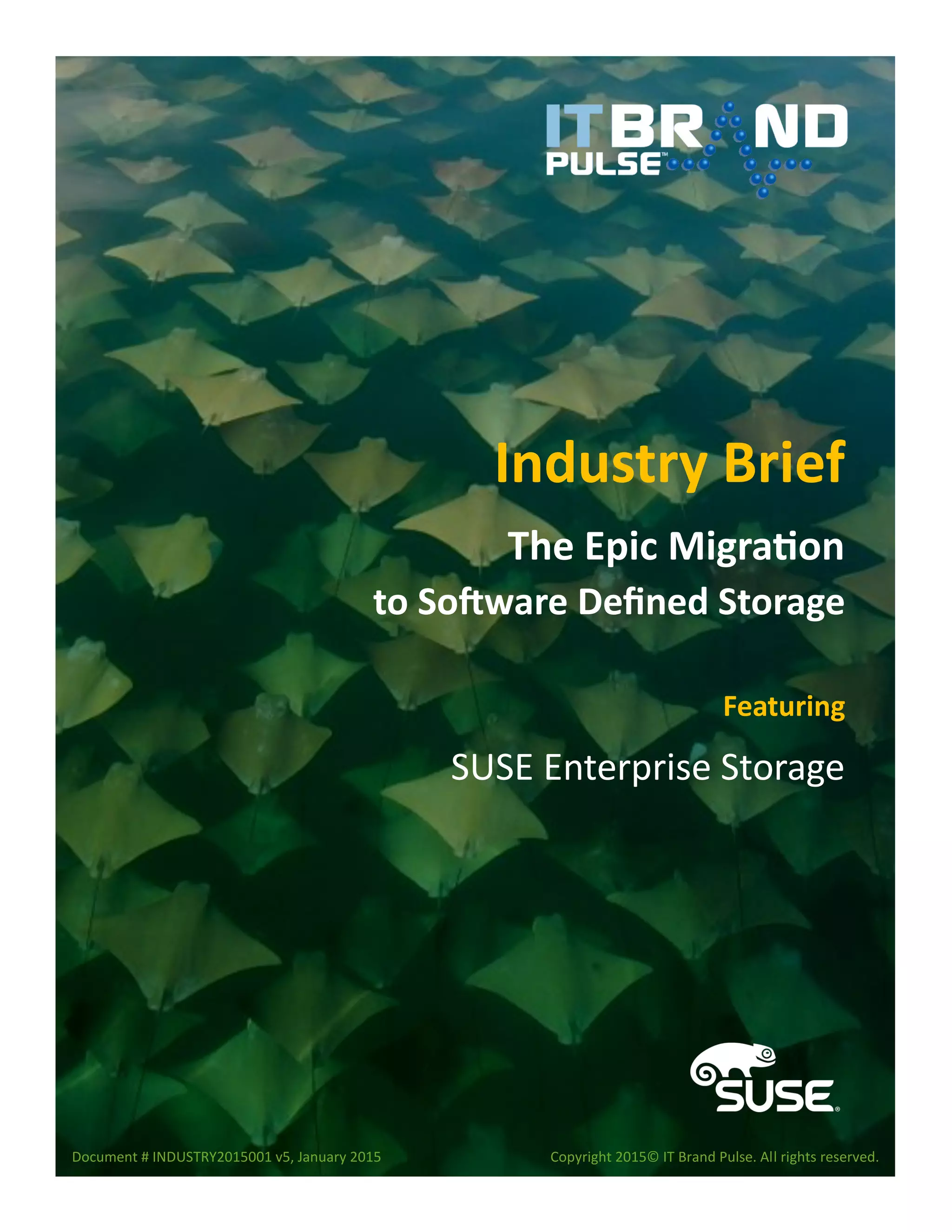 Epic Migration to Software Defined Storage | PDF