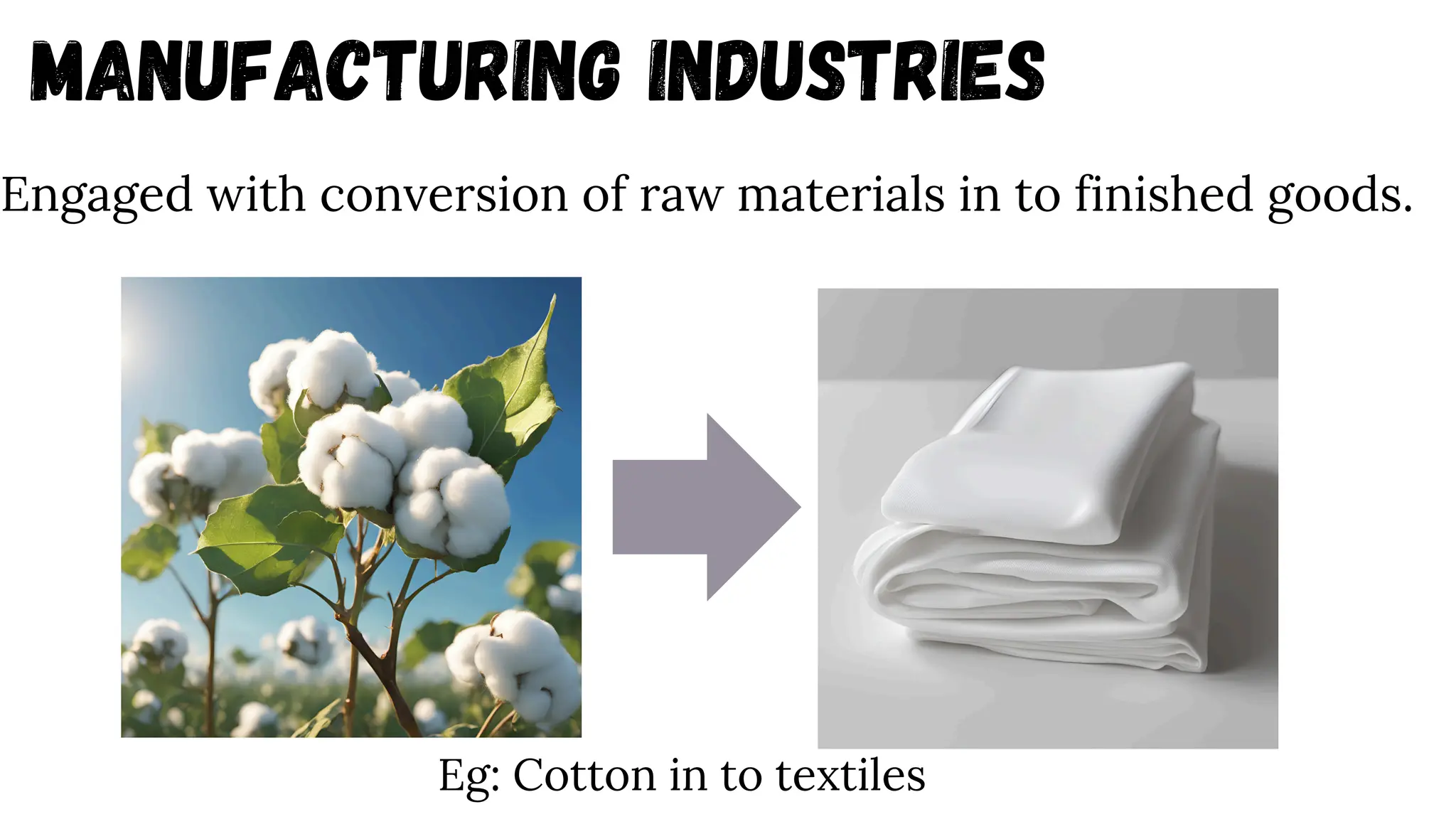 INDUSTRY & TYPES OF INDUSTRY _Meaning of Industry,Primary,Secondary and ...