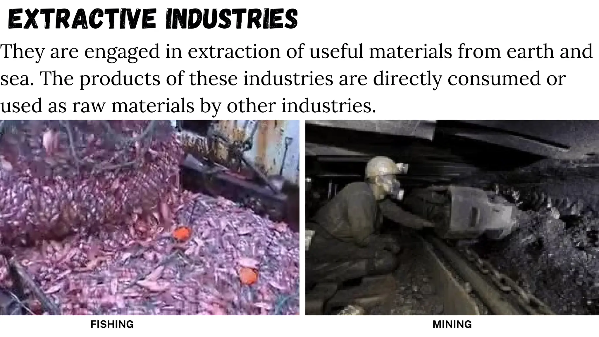 INDUSTRY & TYPES OF INDUSTRY _Meaning of Industry,Primary,Secondary and ...