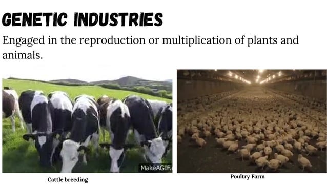 INDUSTRY & TYPES OF INDUSTRY _Meaning of Industry,Primary,Secondary and ...