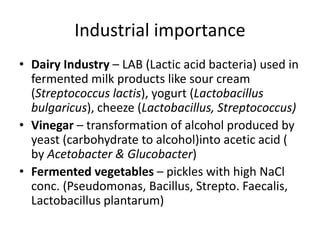 Role of bacteria in Industry and Medicine | PPTX