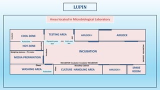 Industry & Microbiology | PPT