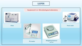 Industry & Microbiology | PPT