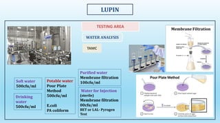 Industry & Microbiology | PPT