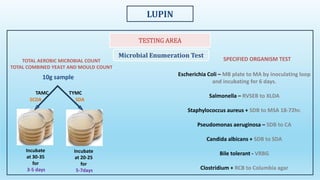Industry & Microbiology | PPT