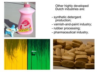 Industry of the netherlands | PPT