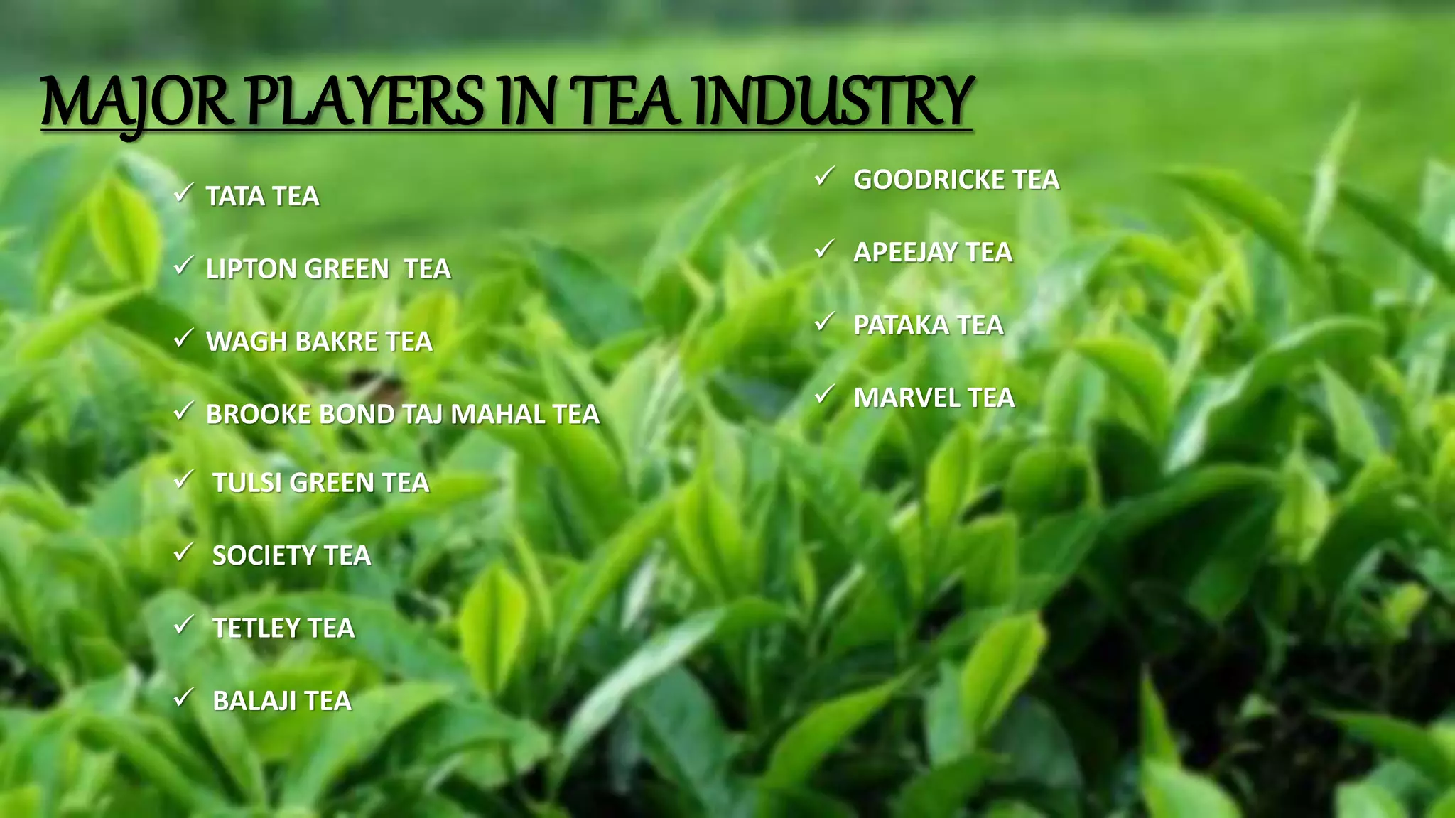 Tea Industry in India | PPTX