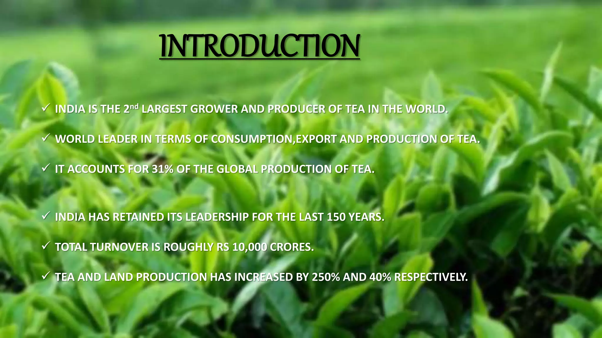 Tea Industry in India | PPTX