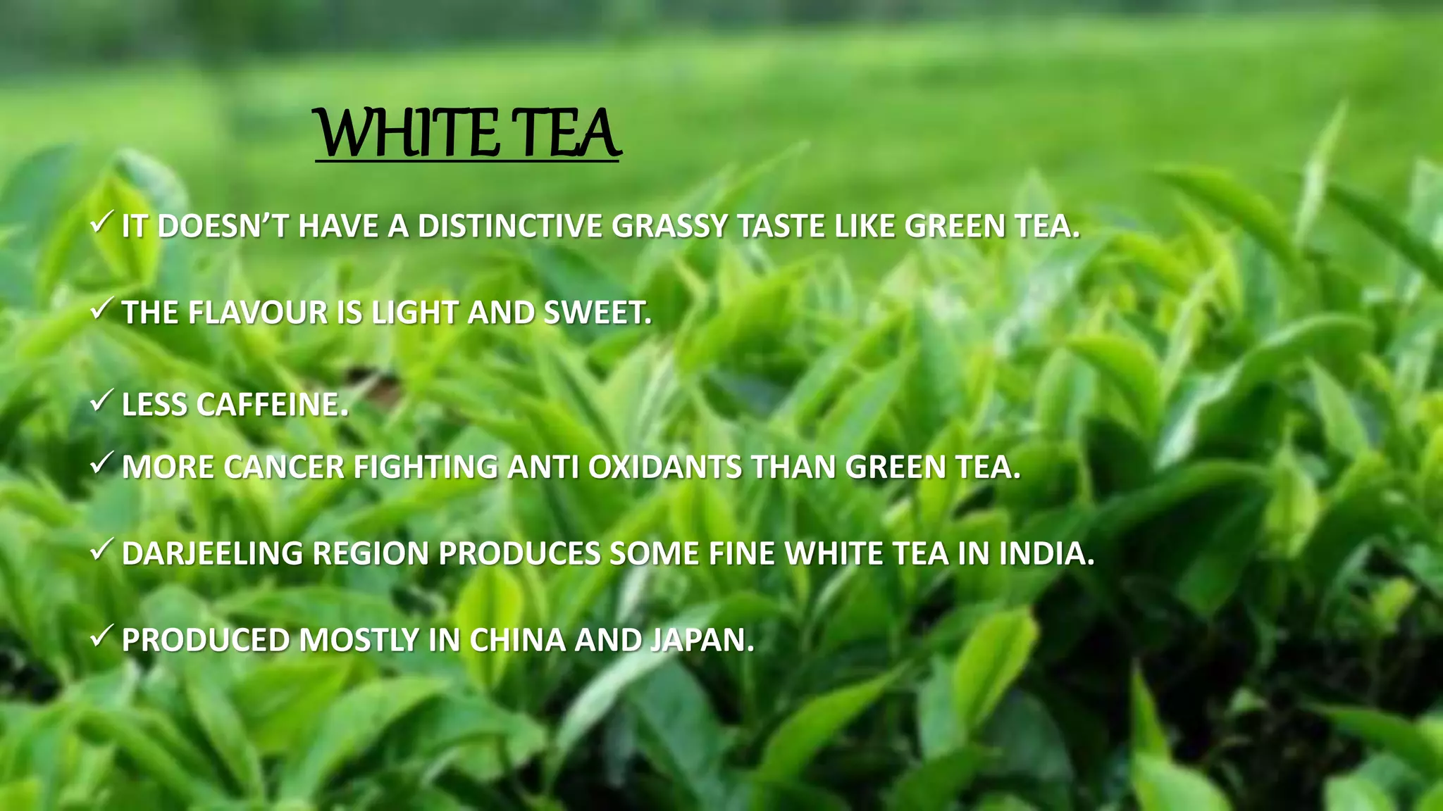Tea Industry in India | PPTX