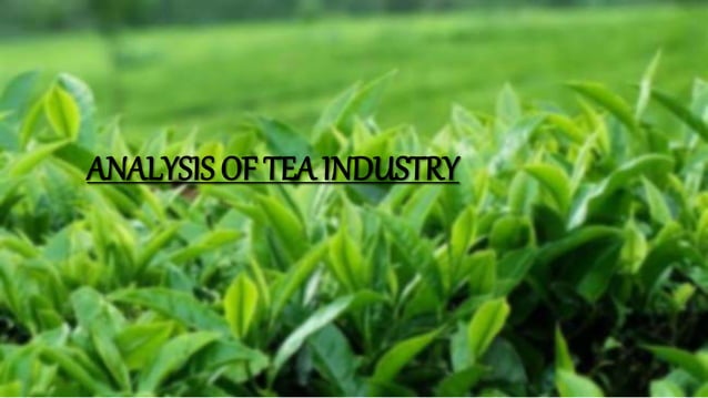 Tea Industry in India | PPTX | Commodities | Economy
