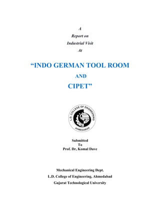 IGTR visit Report | PDF