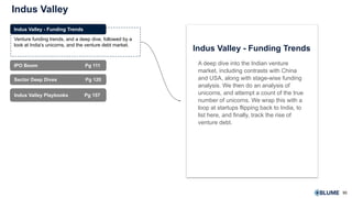 Indus Valley Annual Report for year 2025.pdf