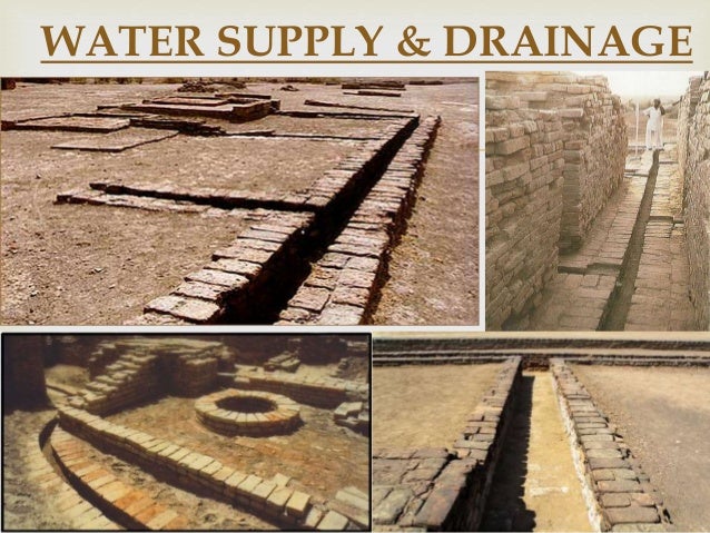 Indus valley civilization