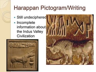 Indus valley civilization | PPTX