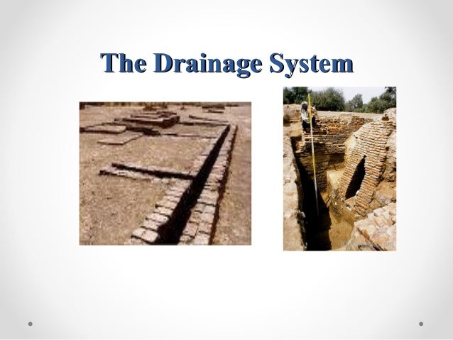 Indus valley civilization