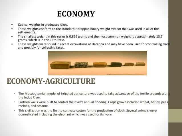 Indus valley civilization | PDF