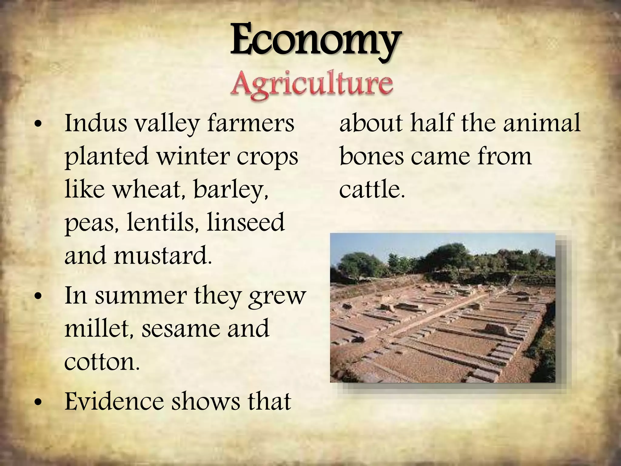 Indus valley civilization | PPTX