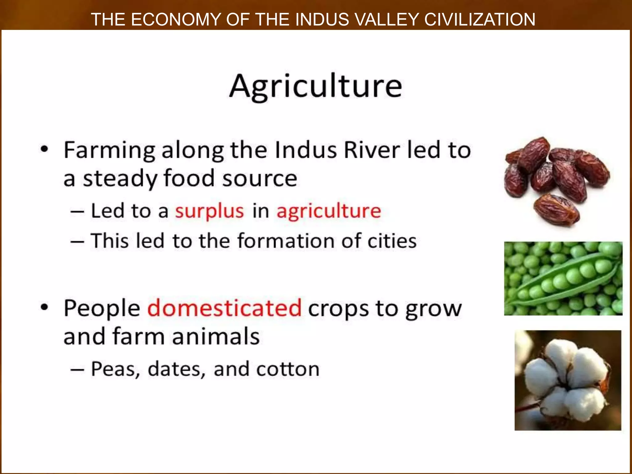 Indus valley civilization | PPTX