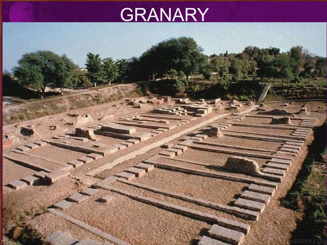 Indus valley civilization | PPT