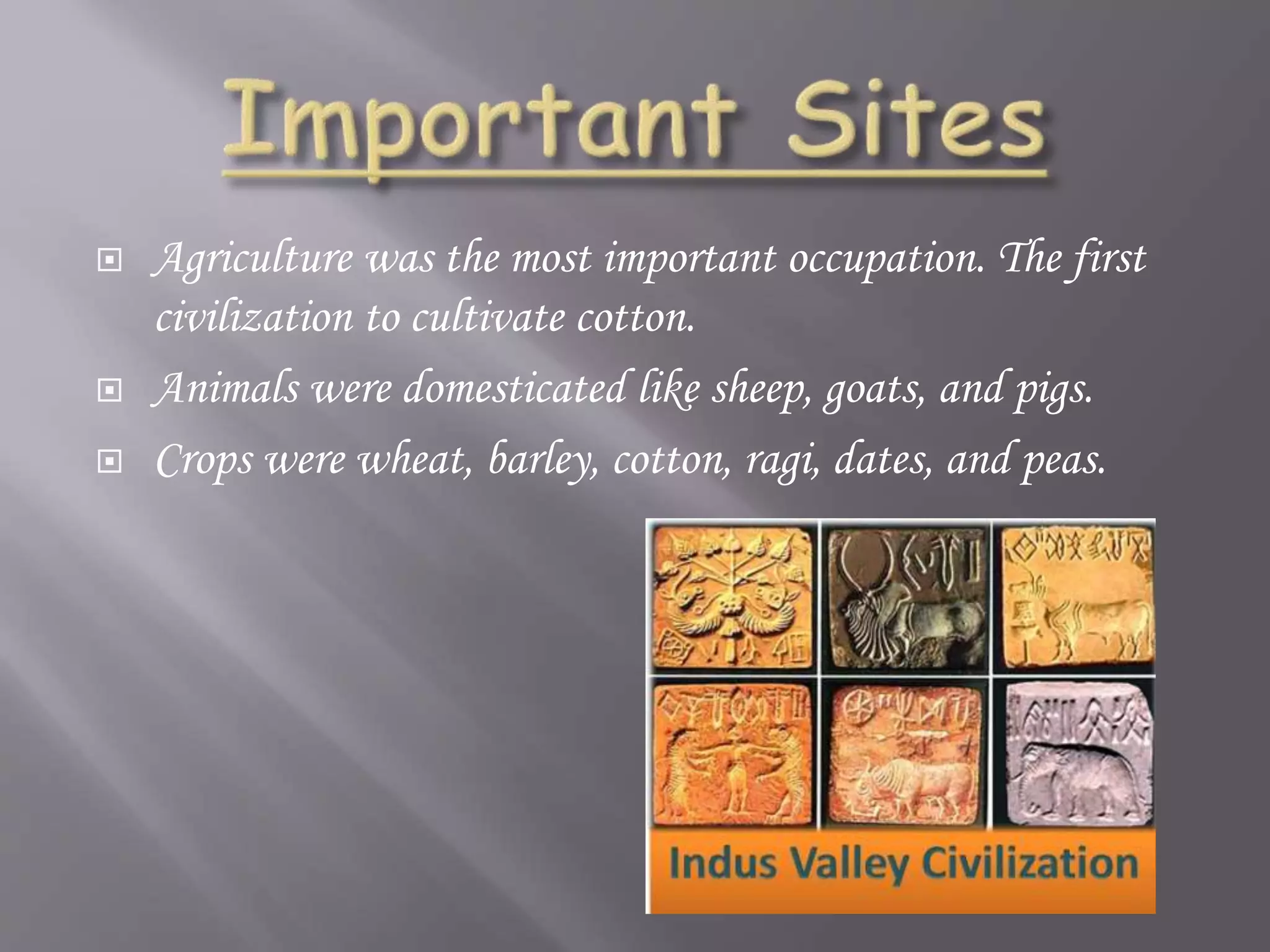 Indus valley civilization | PPTX
