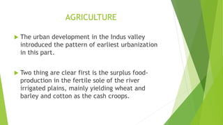 Lecture Slides Indus Valley Civilization.pdf